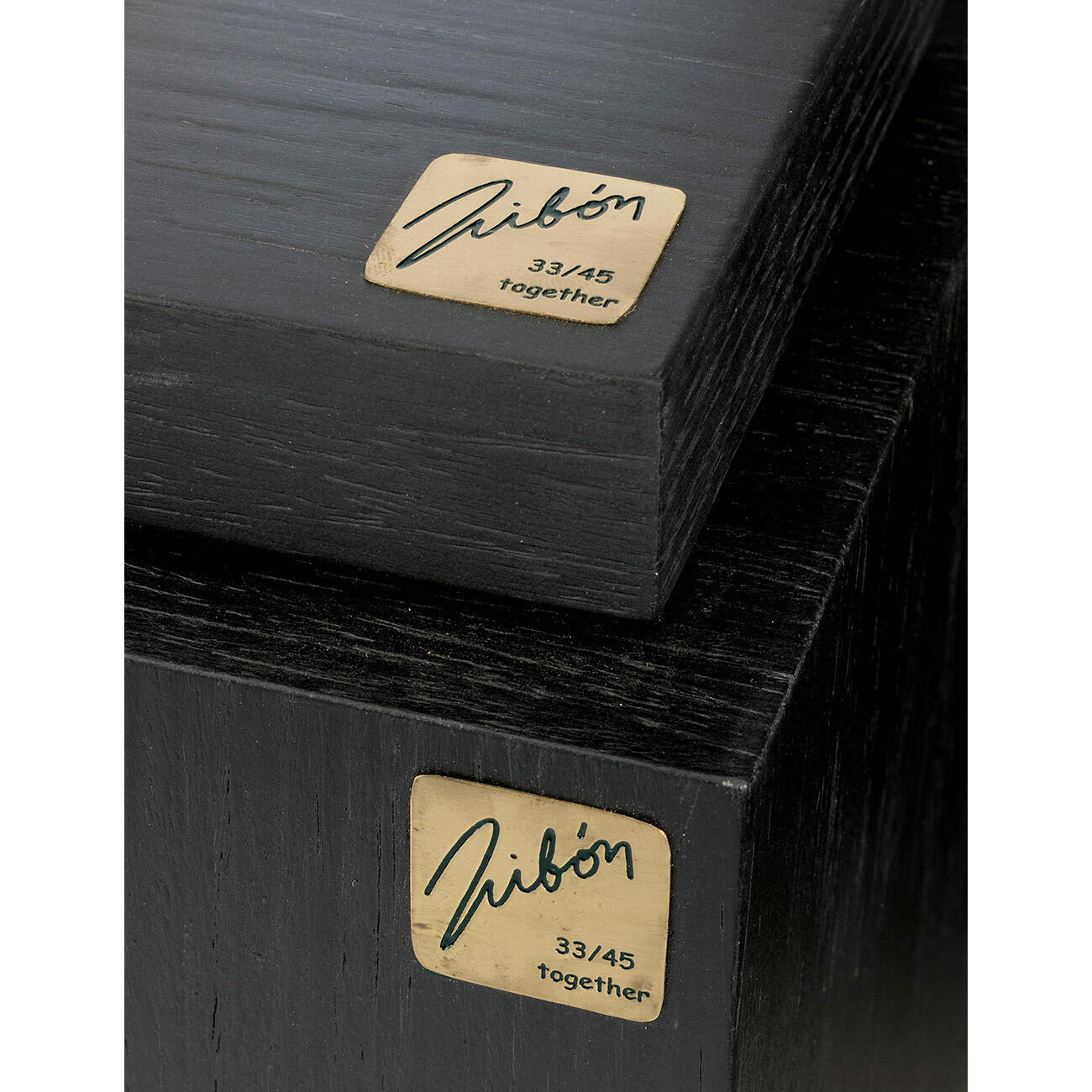 Andrés Ribón Troconis – Together | Kunst online kaufen